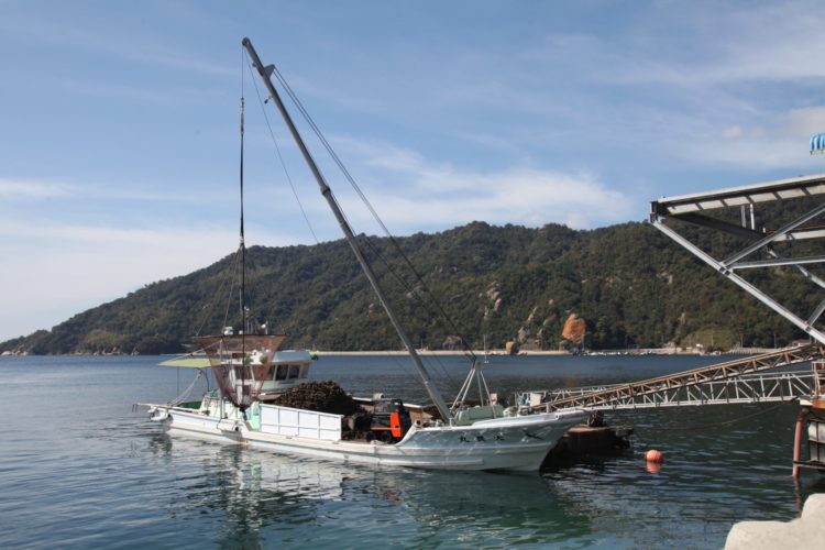 HIROSHIMA ROPE GROWN OYSTER SUSTAINABLE FISHERIES PROJECT (FIP) - UMITO ...